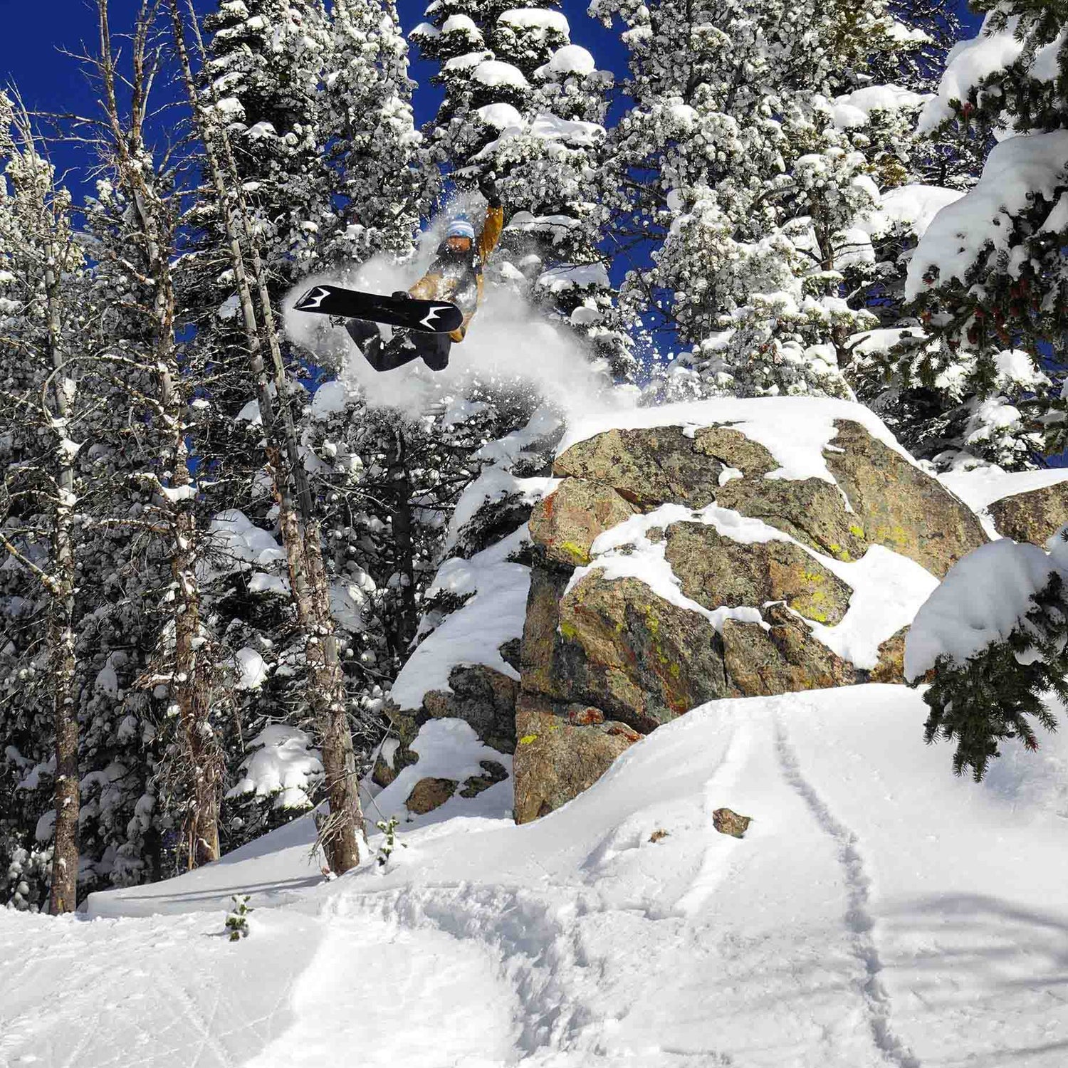 Swallowtail® Splitboard | Winterstick | Premium Splitboards